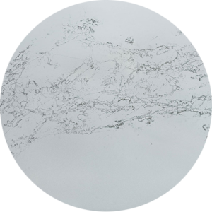 Compac Ice Green - Bluestone