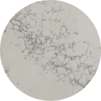 Diore Quartz Quartz Work Surface - Bluestone